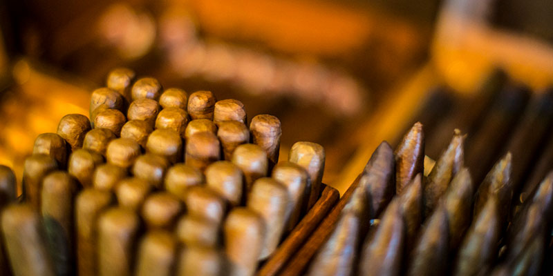 Cigars for Sale: How to Keep Your New Cigars Fresh | Top Leaf Cigar Lounge